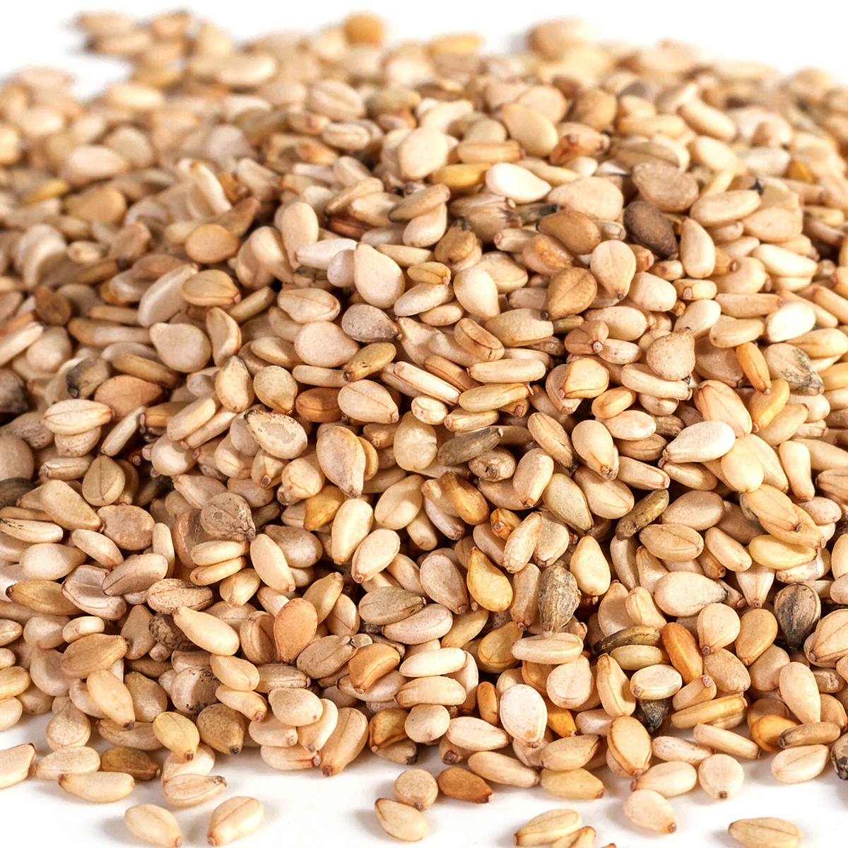 SESAME SEED – Especias Montero